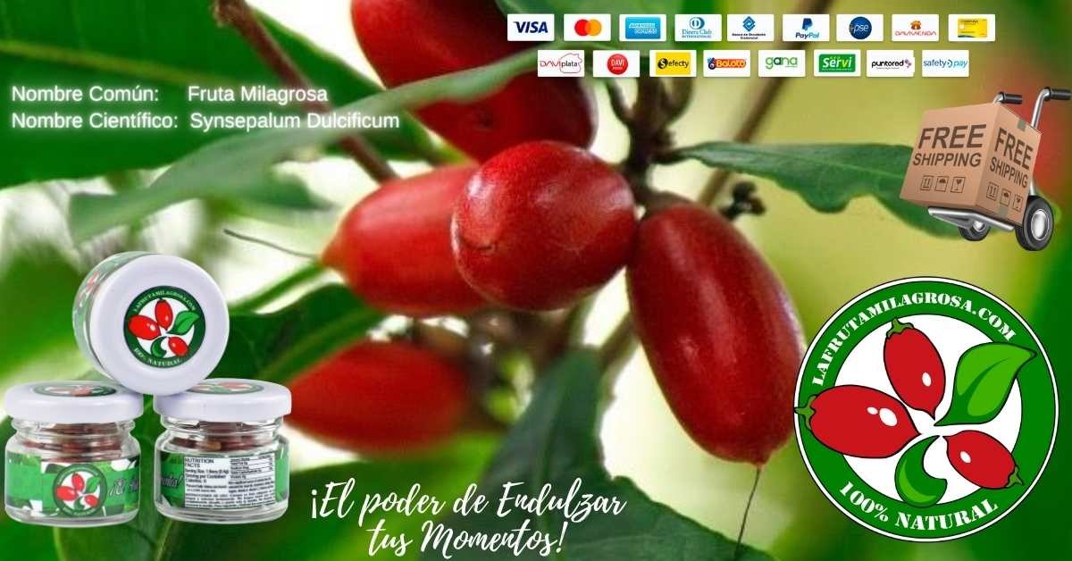 Guia de Uso Fruta Milagrosa Synsepalum Dulcificum Miracle Berry - Fruta ...