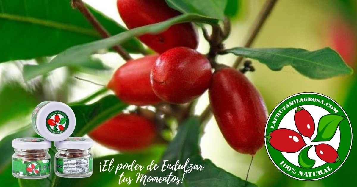 La fruta milagrosa ayudando a pacientes con cancer - Fruta Milagrosa ...